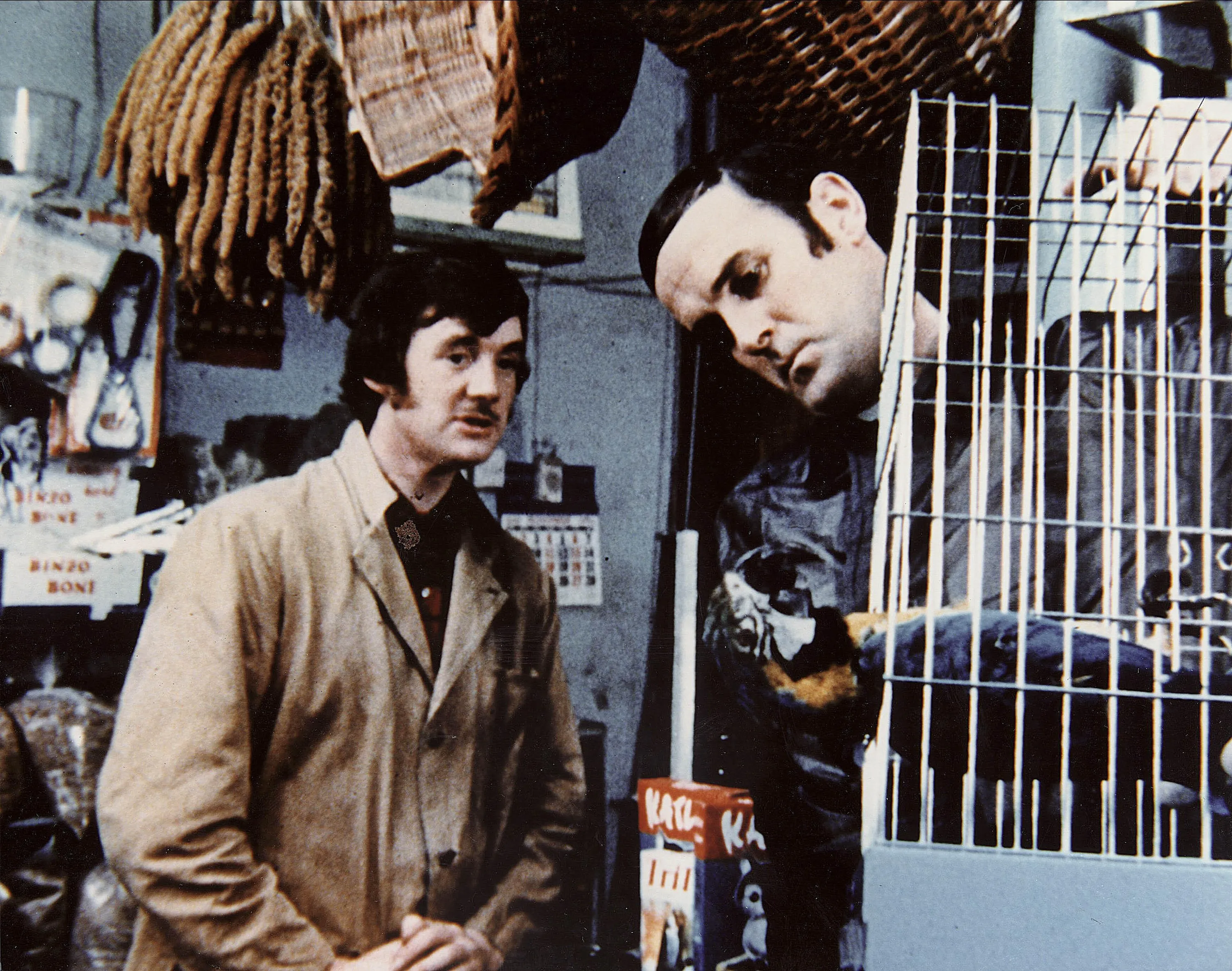 Monty Python lebt – in der englischen Realität